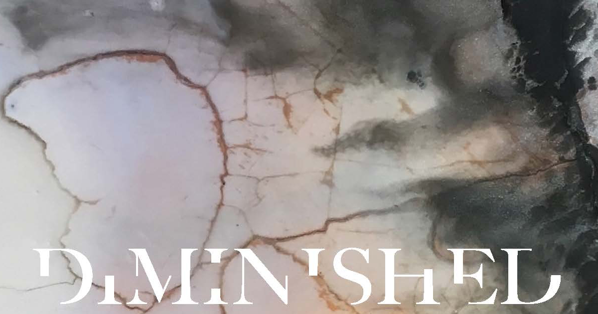 Diminished: A Still Life | Florence County Museum