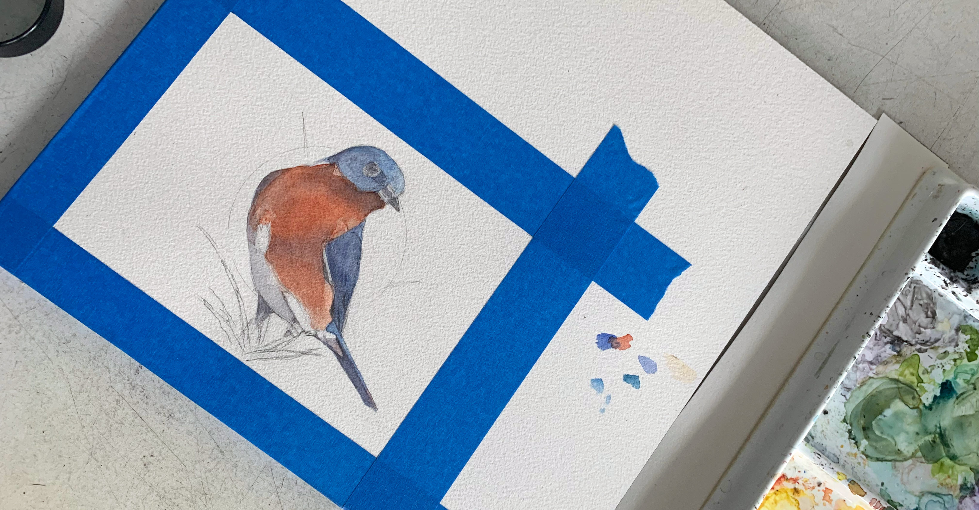 Watercolor Exploration | Florence County Museum